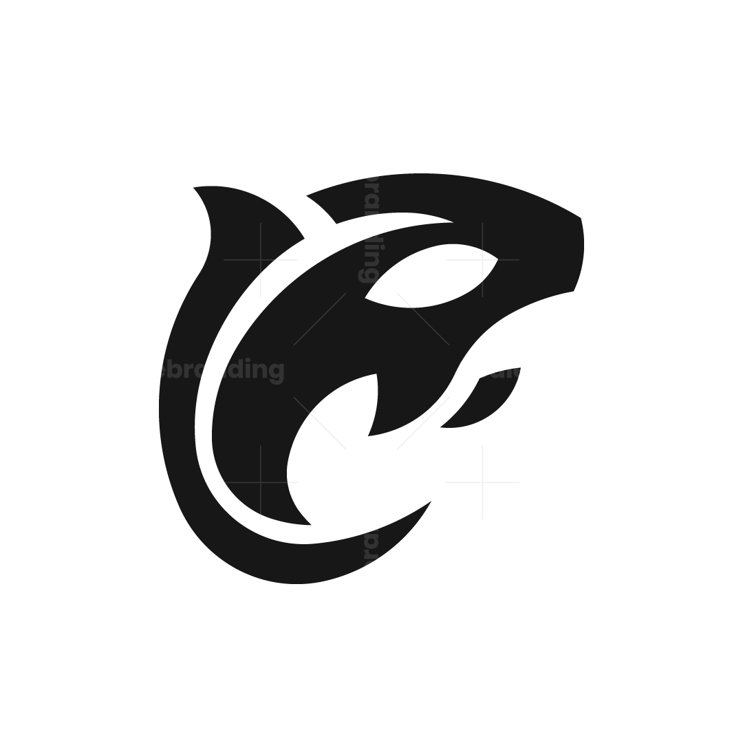 Simple Modern Orca Assassin Fish Logo | Scalebranding
