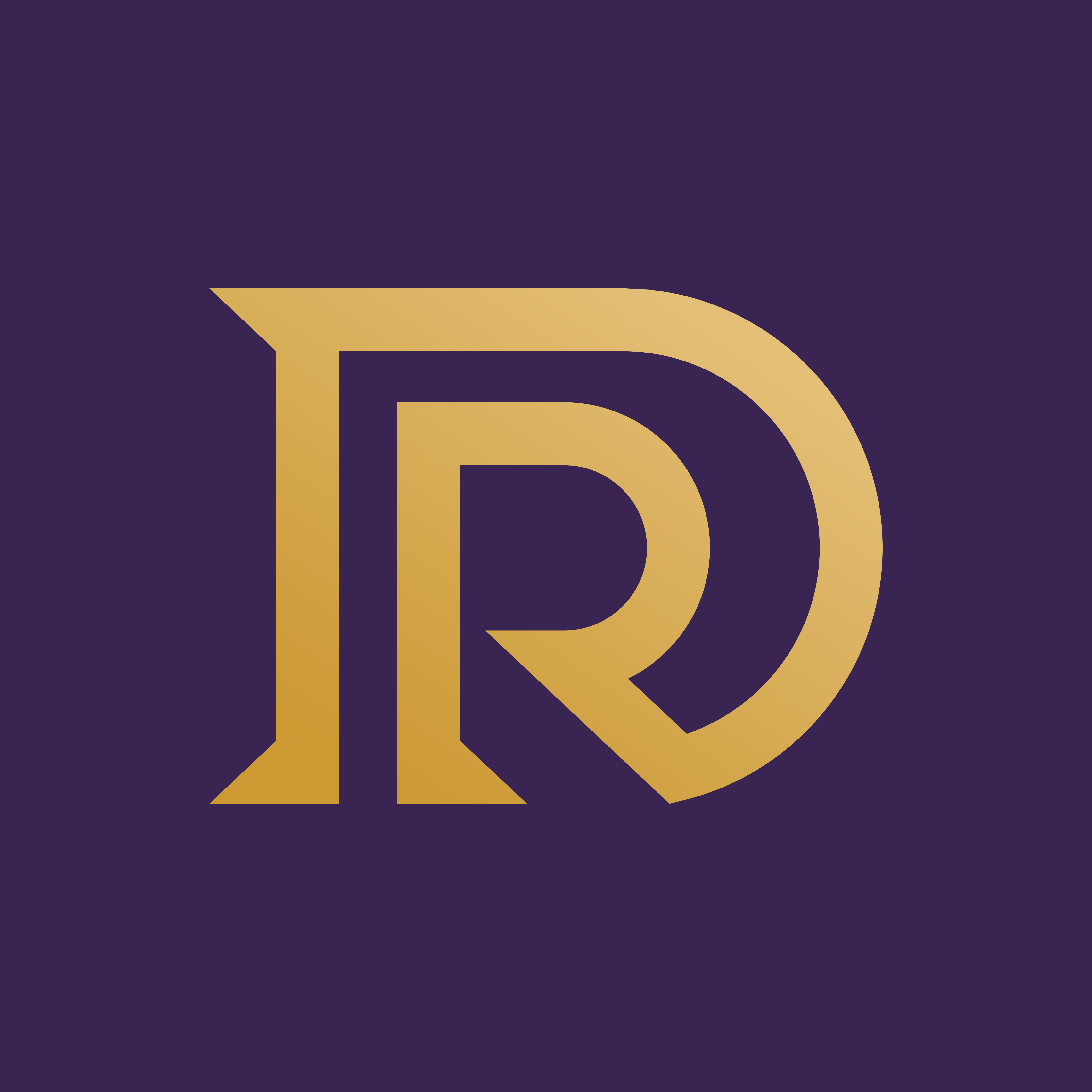 Letter D R Logo | Scalebranding