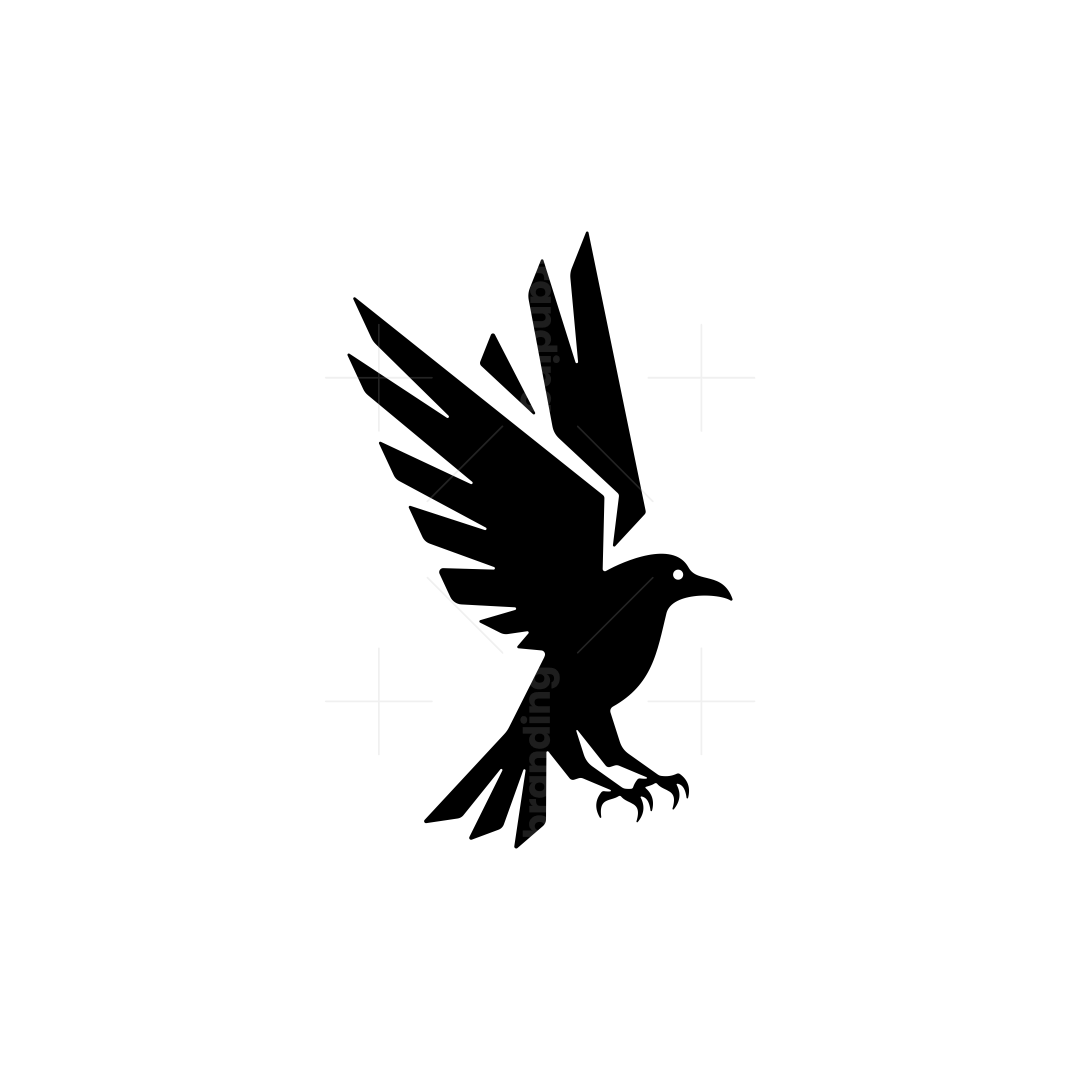 Dn Raven Logo