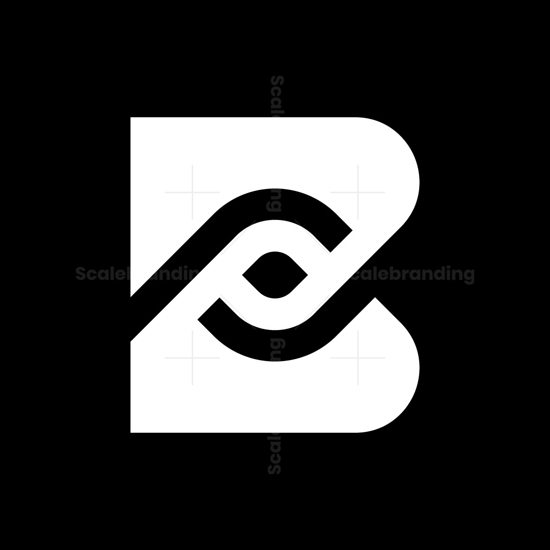B Vision Logo | Scalebranding