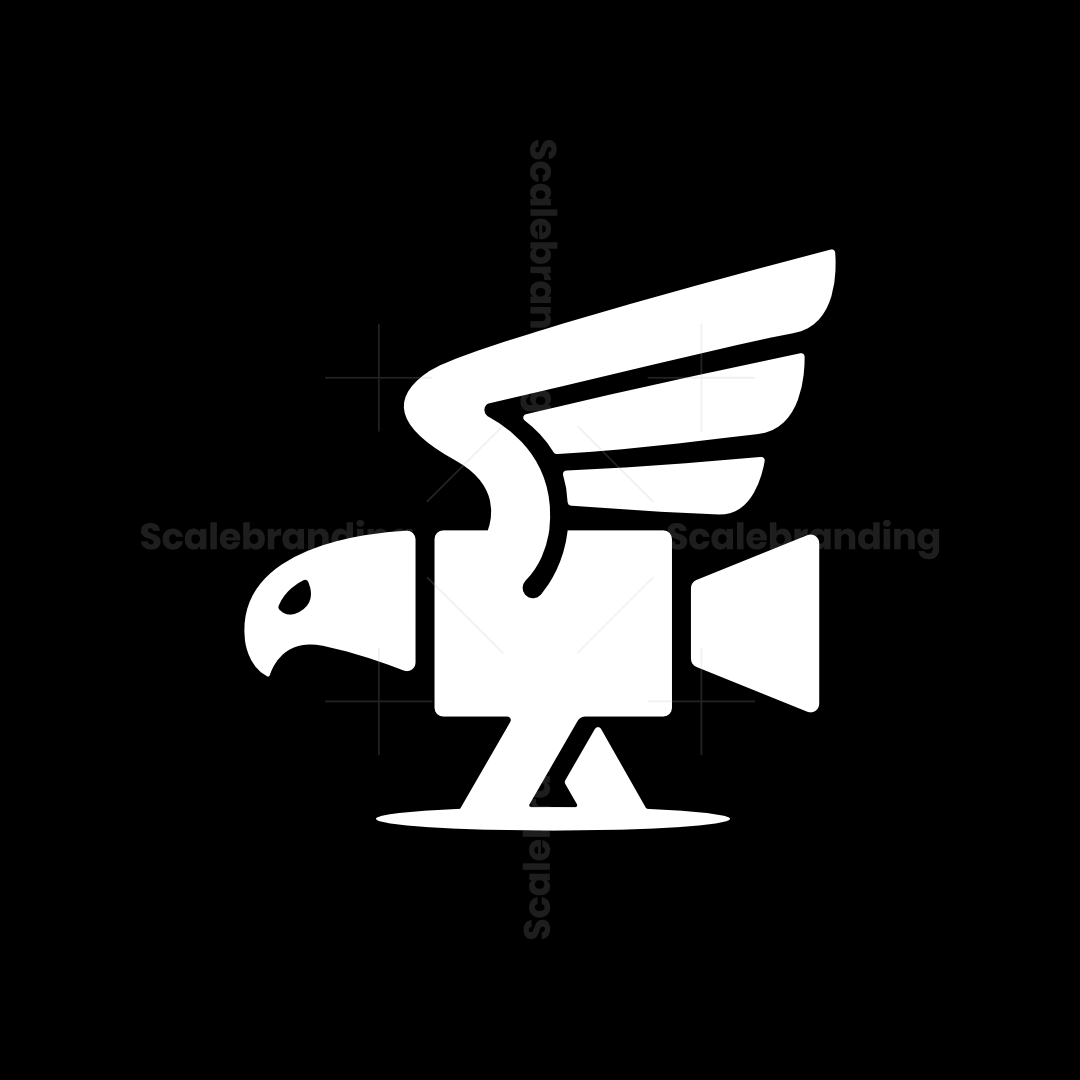 Modern Eagle camera logo | Scalebranding