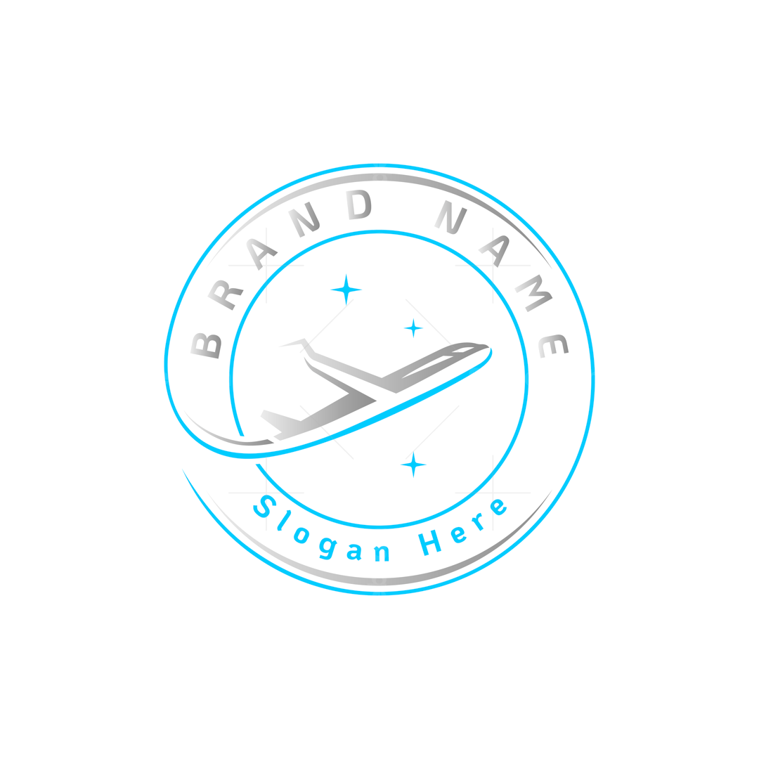 Minimal Airplane Emblem Logo Design | Scalebranding