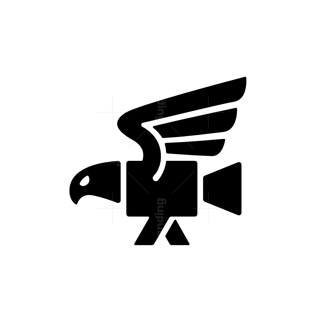 Modern Eagle camera logo | Scalebranding