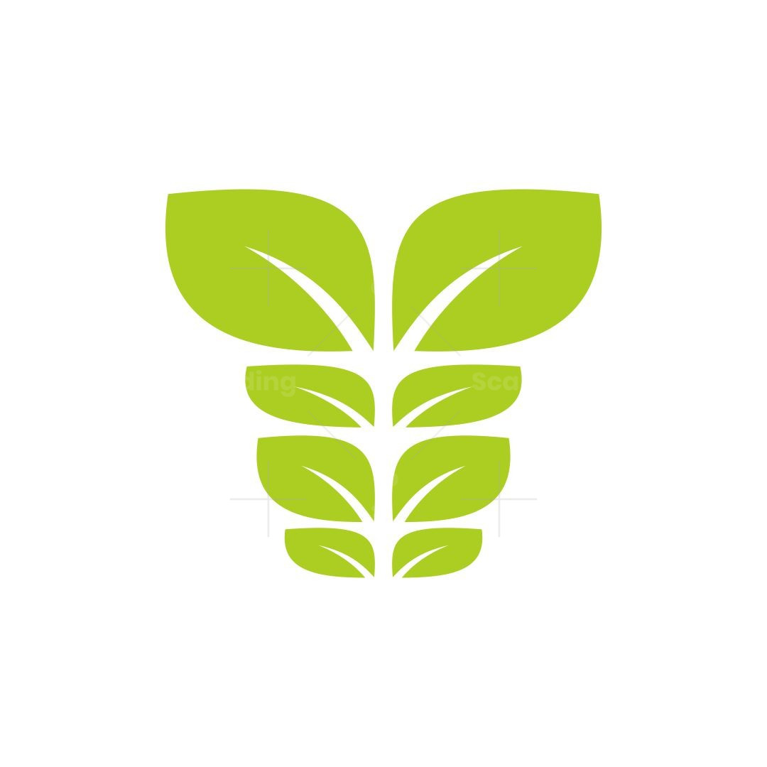 Sixpack Nature Logo | Scalebranding