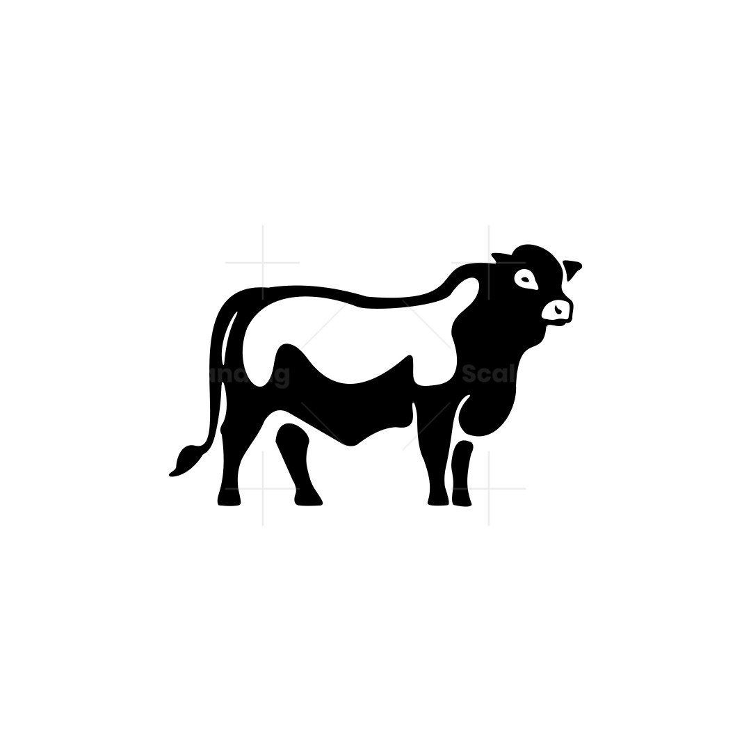 Angus Cow Logo | Scalebranding