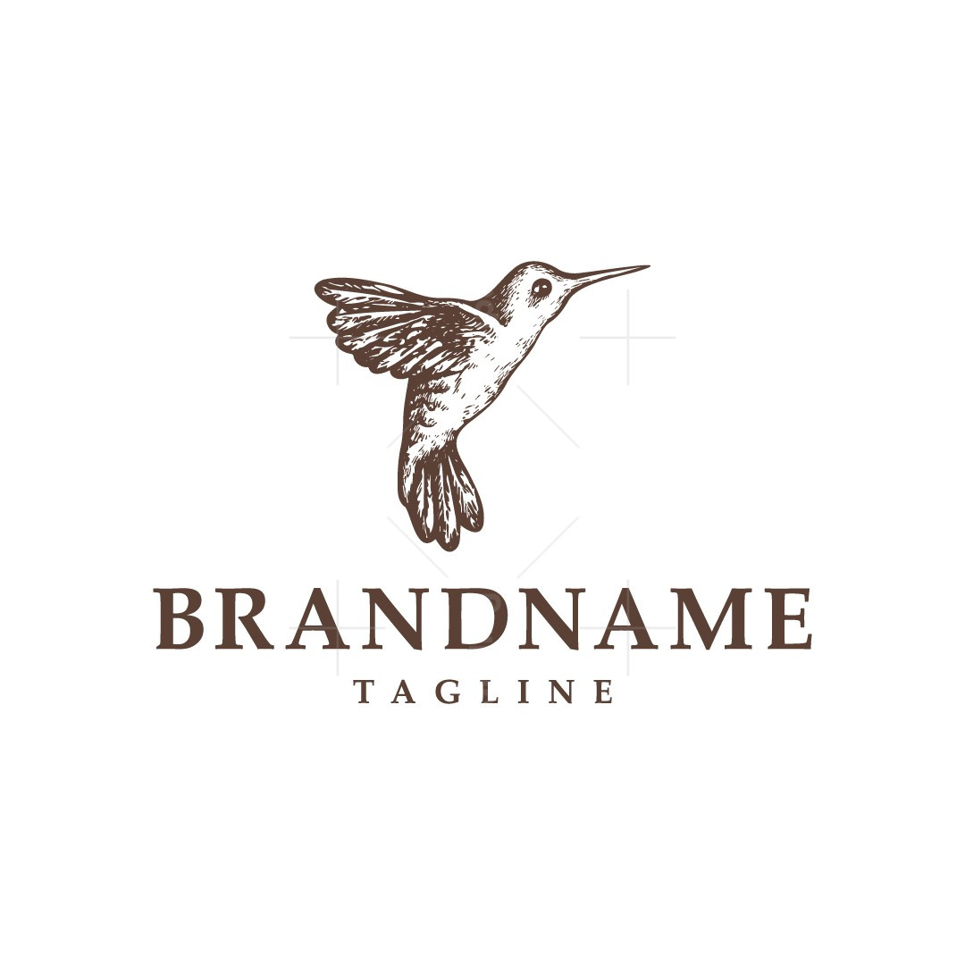 Classic Hummingbird Drawing Logo | Scalebranding