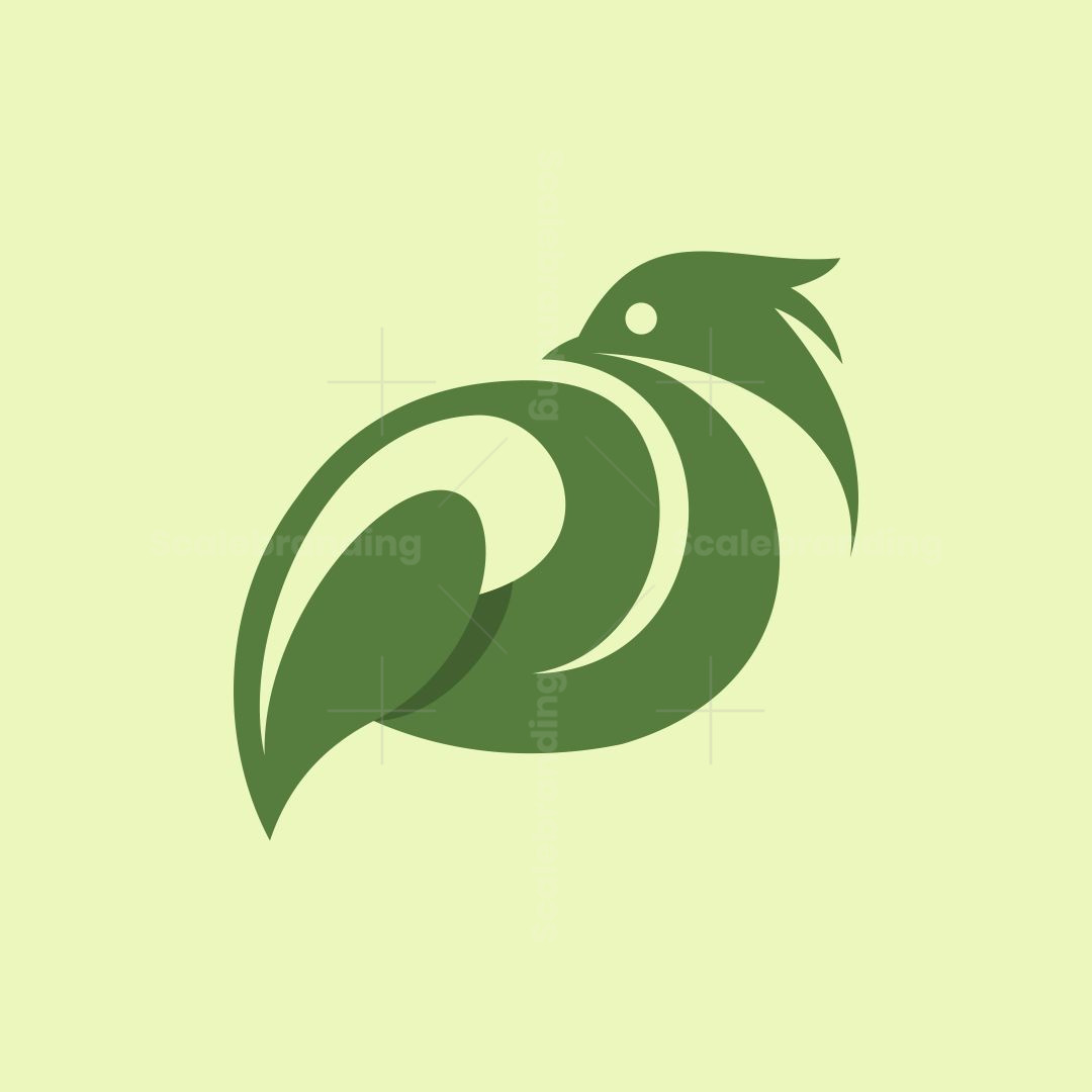 Bird Leaves Logo | Scalebranding