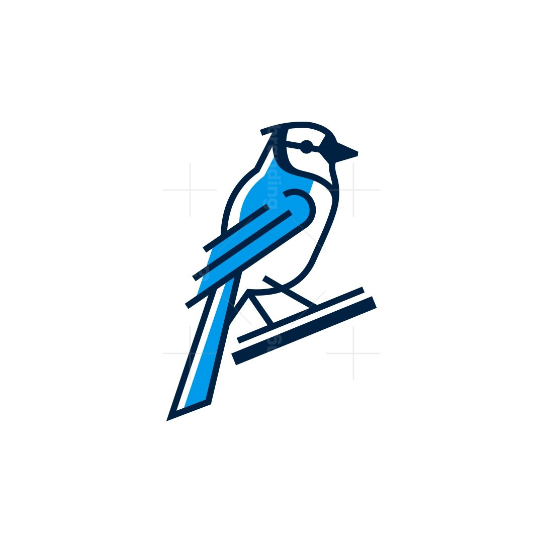 Blue Jay Logo | Scalebranding