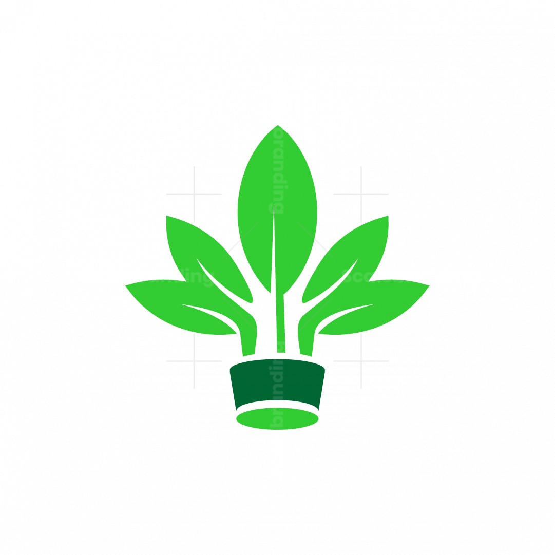 canna plant Logo | Scalebranding