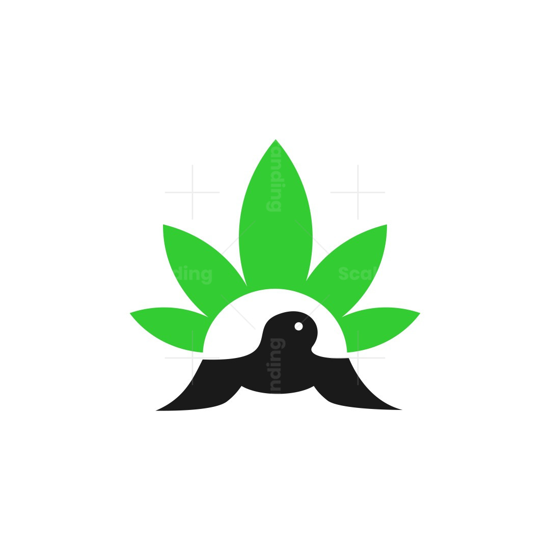 Canna Turtle Logo | Scalebranding