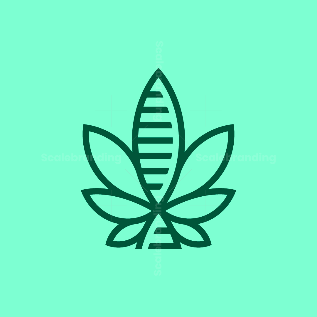 Cannabis or Hemp Leaf with DNA Helix Logo | Scalebranding