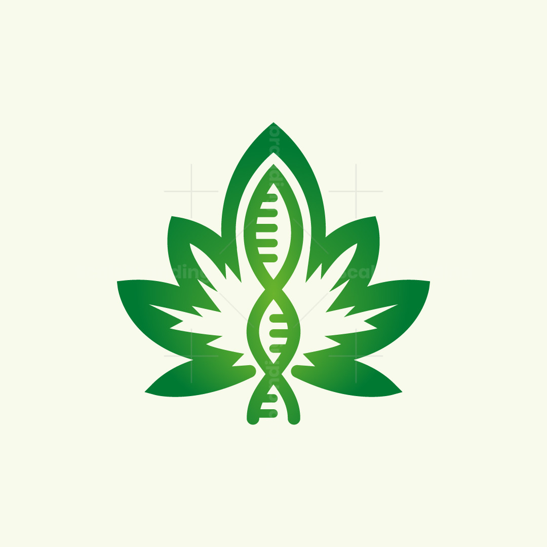 Cannabis Medicinal Logo BAJCAN Cannabis Medical Conference And Expo