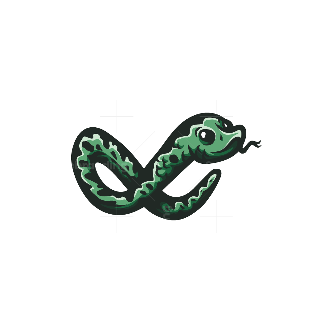 Infinity Snake Logo | Scalebranding