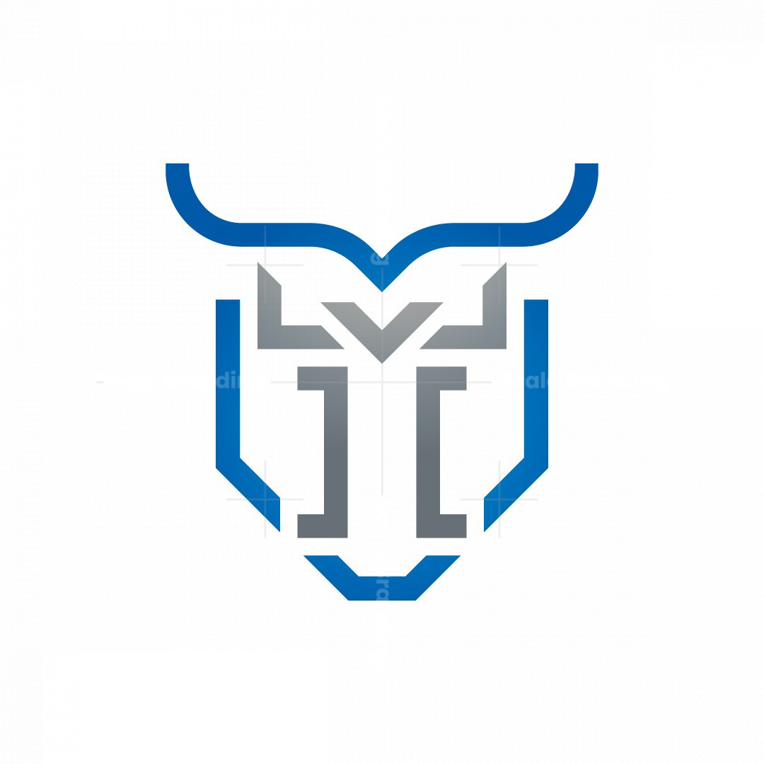 Code Owl Logo | Scalebranding