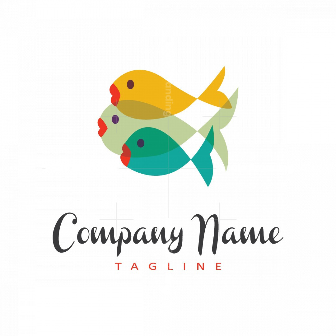 Colorful Fish Logo | Scalebranding