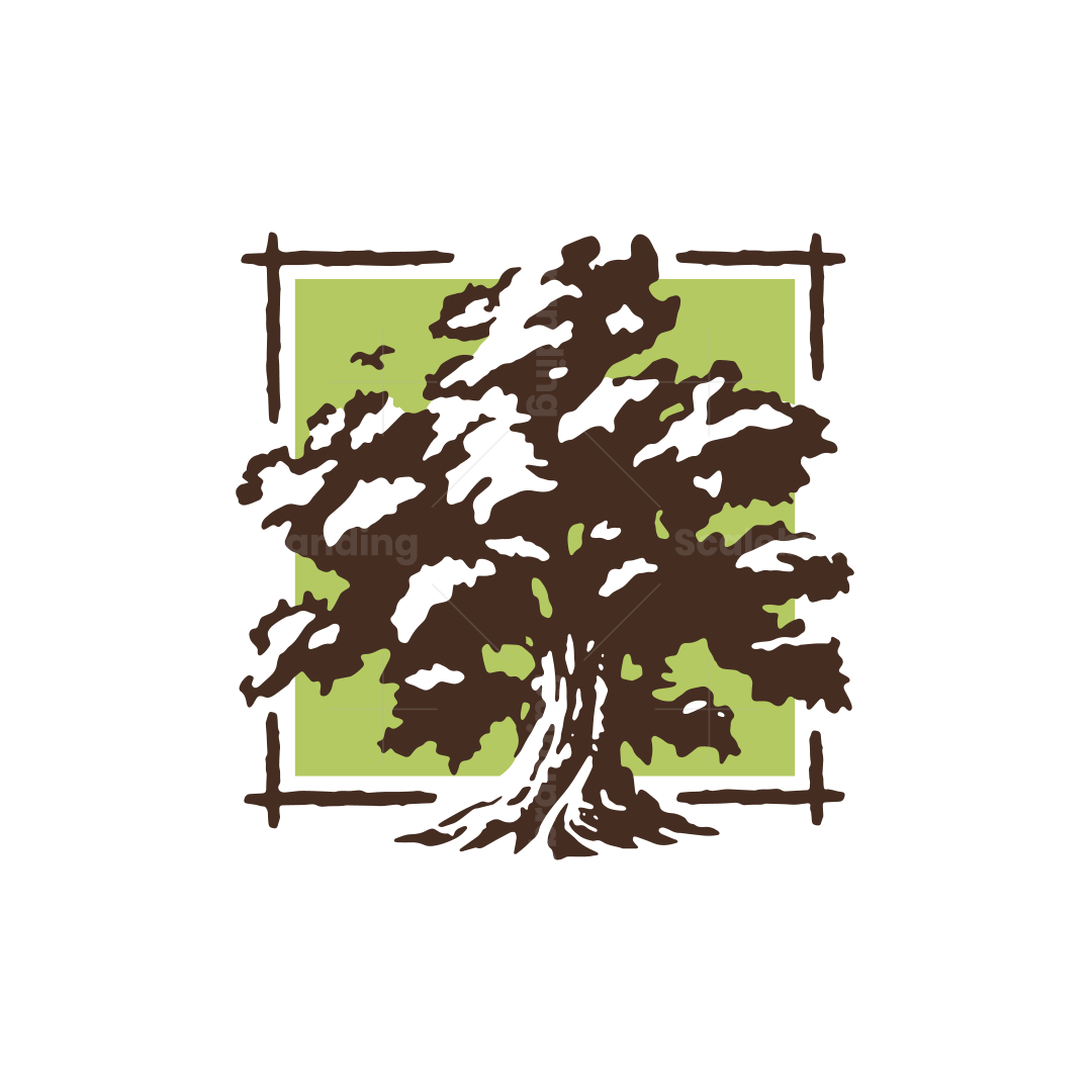 Hand Drawn Rustic Oak Tree Logo | Scalebranding