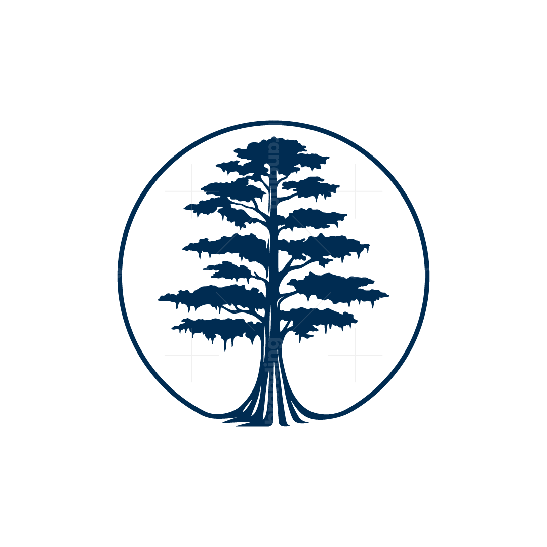 Blue Bald Cypress Tree Logo | Scalebranding