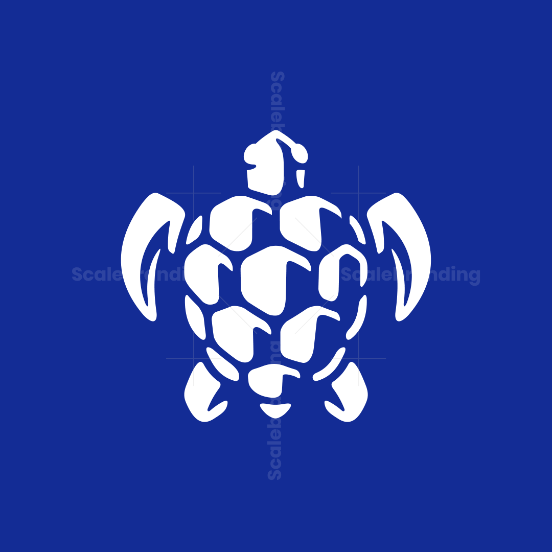 Sea Turtle Modern Marine logo | Scalebranding
