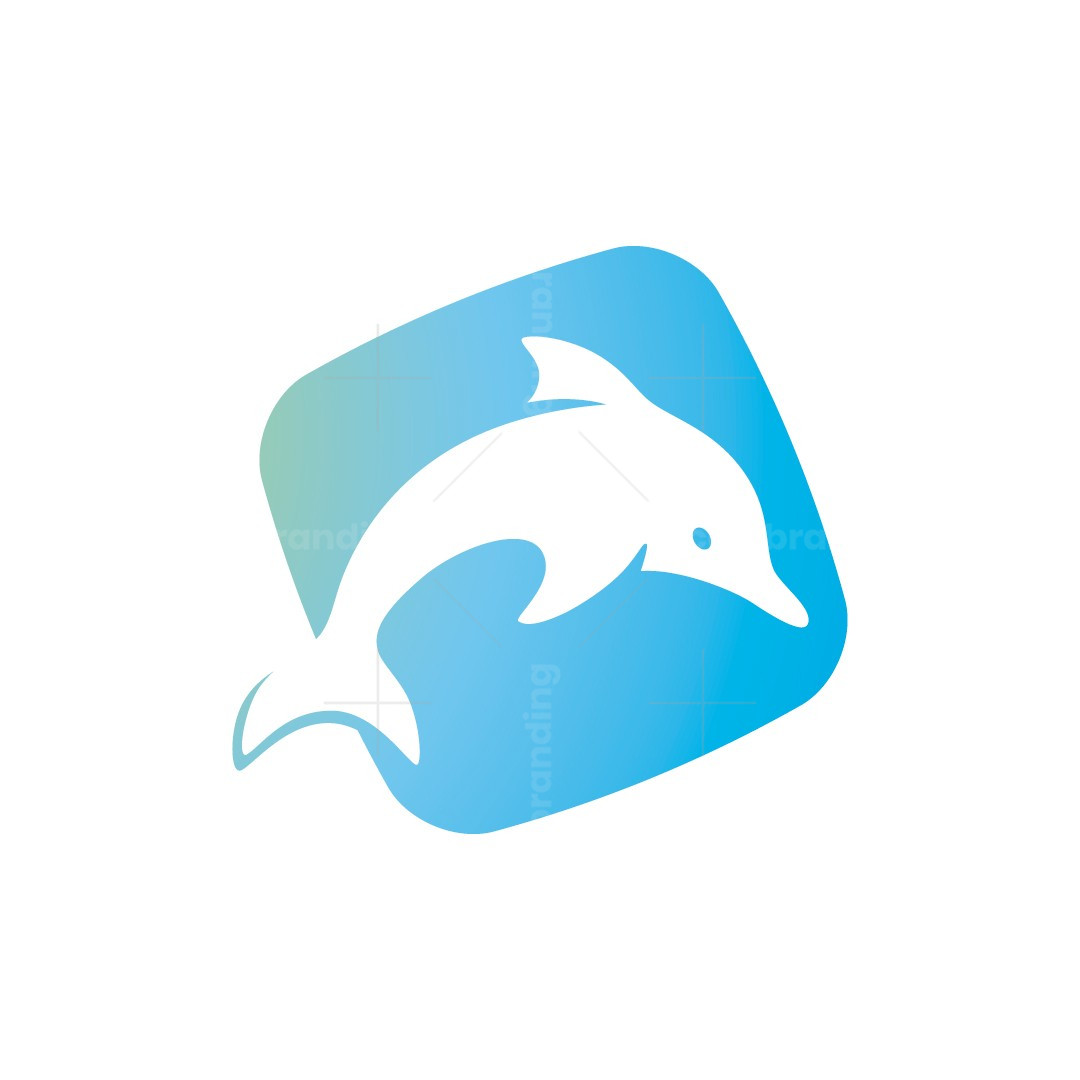 Digital Dolphin Logo | Scalebranding