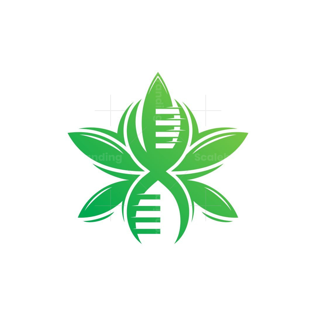 DNA Cannabis Logo | Scalebranding