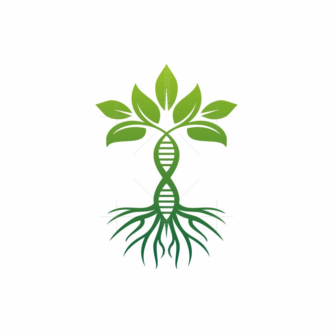 Dna Tree Logo DNA Tree Logo Science & Biology Royalty Free Vector