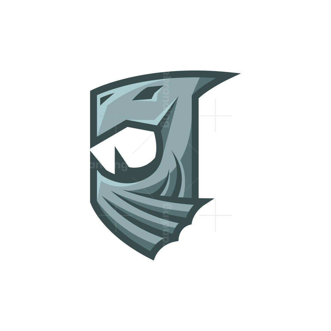Dragon Shield Logo | Scalebranding