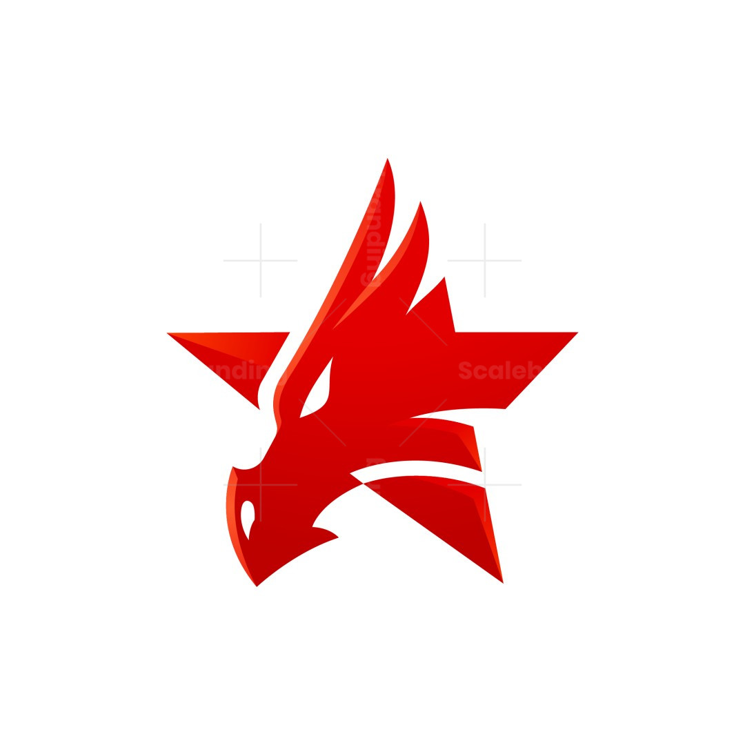 Dragon Star Logo | Scalebranding
