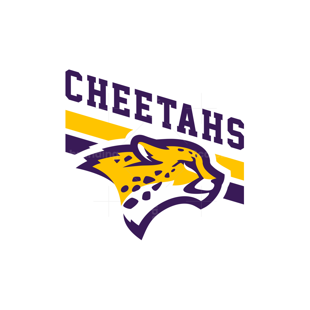 Cheetah Illustration Or Sport Mascot Logo | Scalebranding