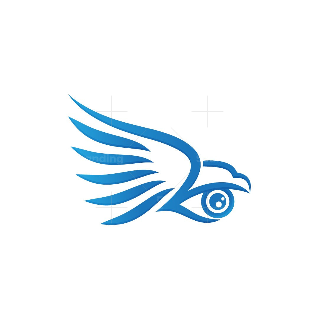 Eagle Eye Logo | Scalebranding