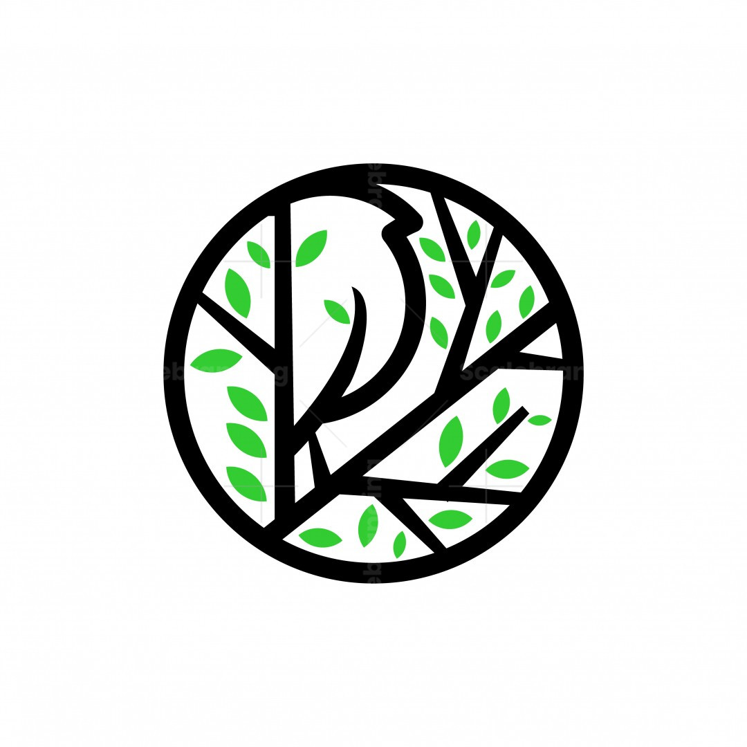 Eco Bird Jungle Logo | Scalebranding
