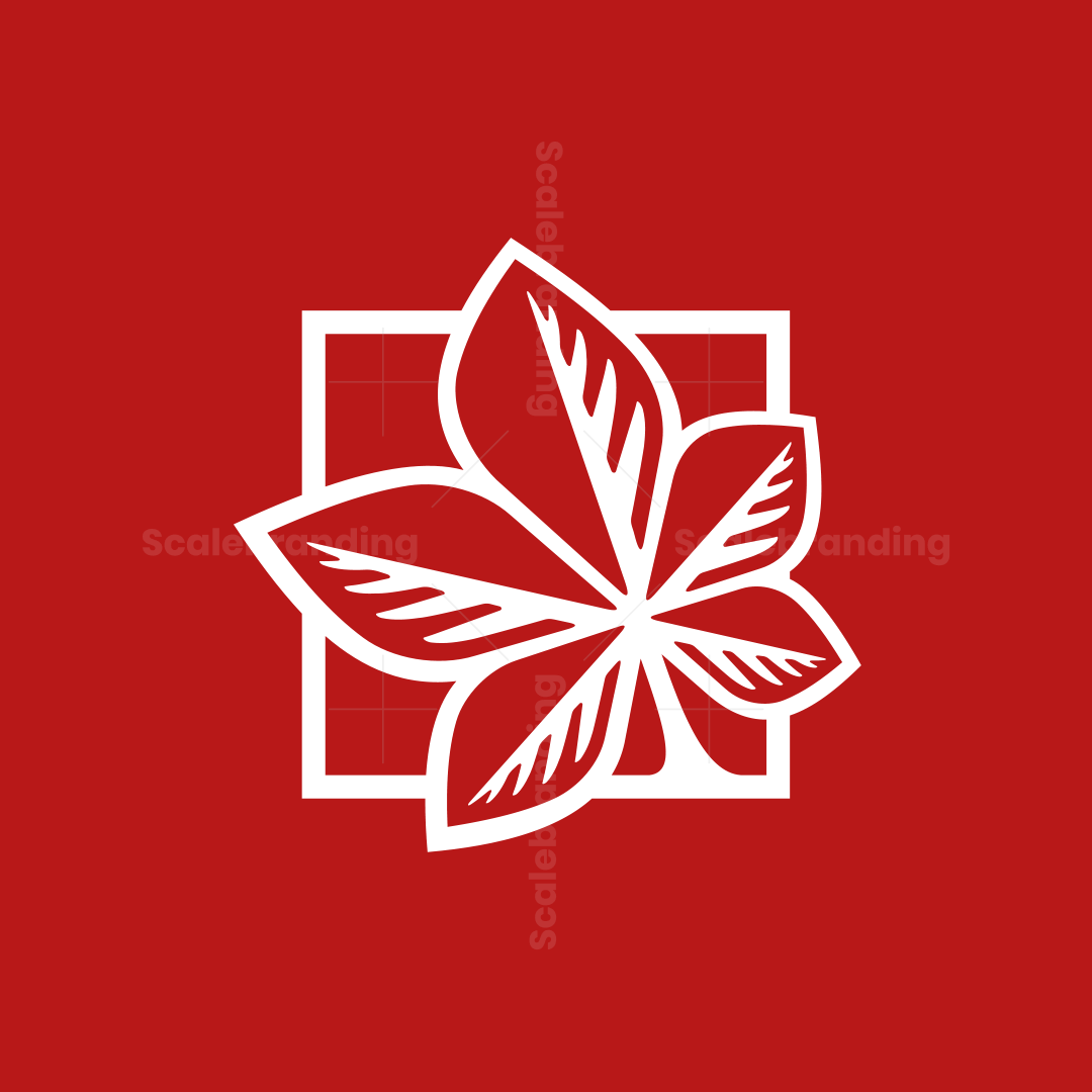 Warm orange and red maple leaf logo | Scalebranding