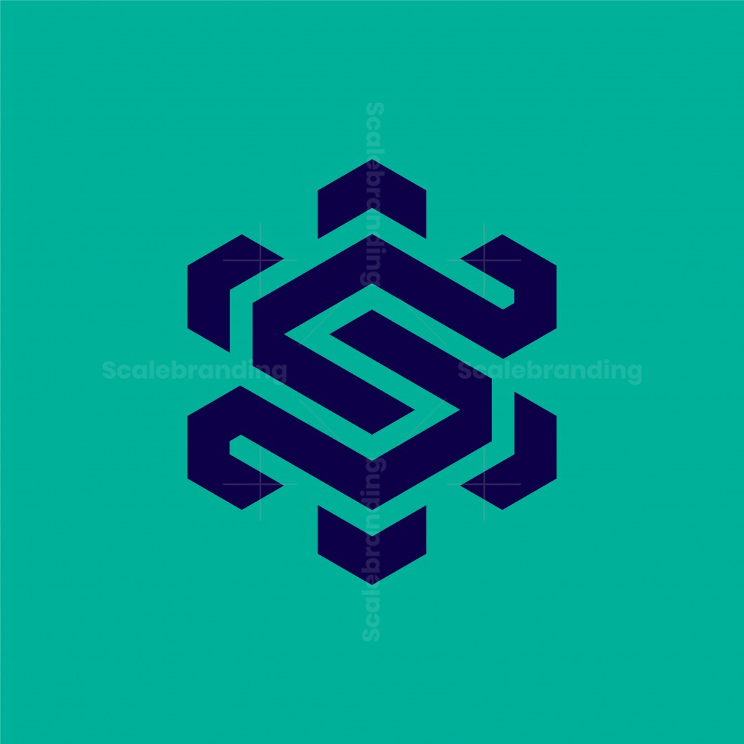 S Hexagonal Arrow Logo | Scalebranding