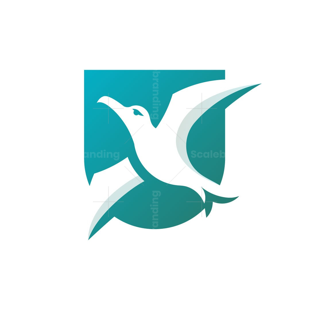 Flying Albatross Logo | Scalebranding