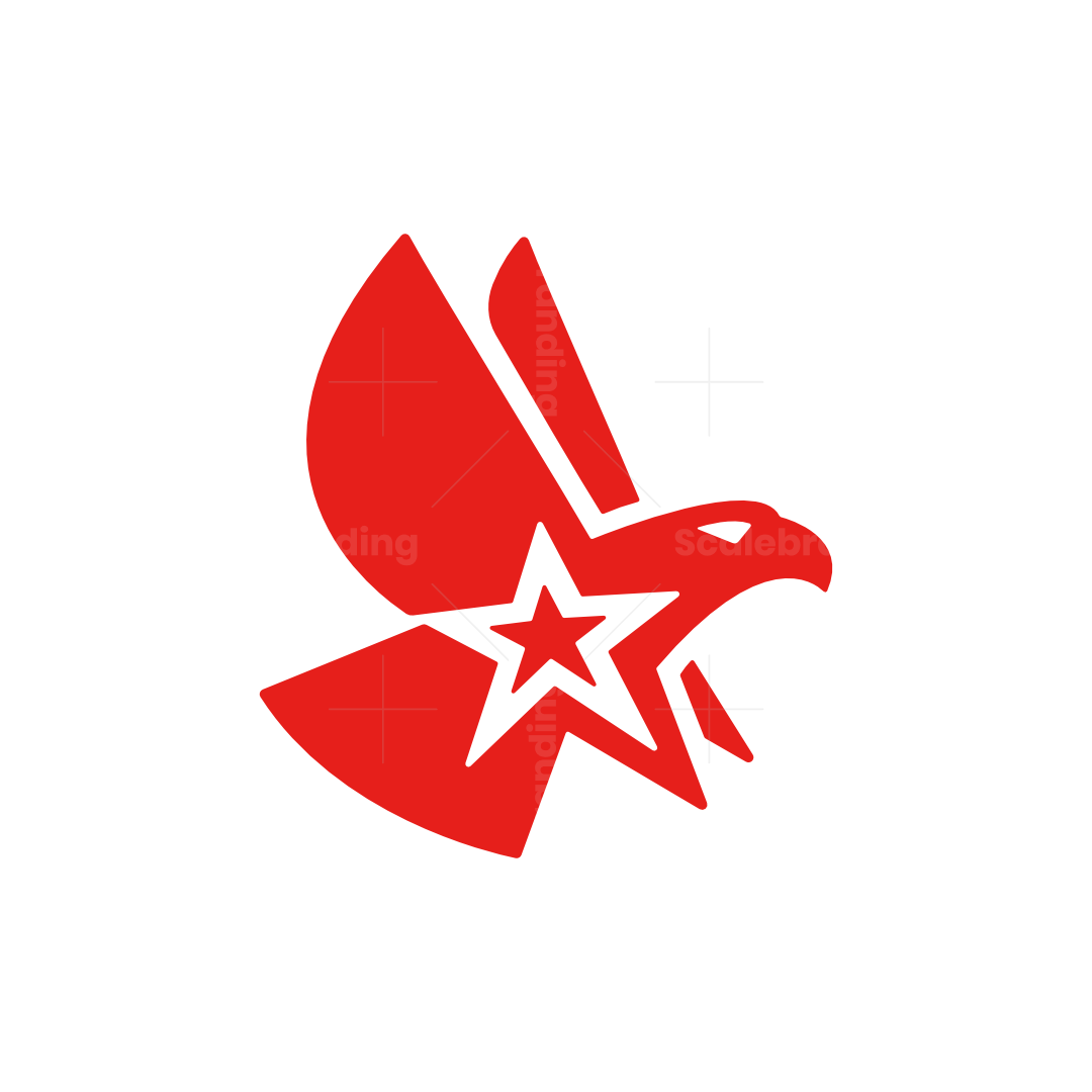 Flying Hawk and star logo | Scalebranding