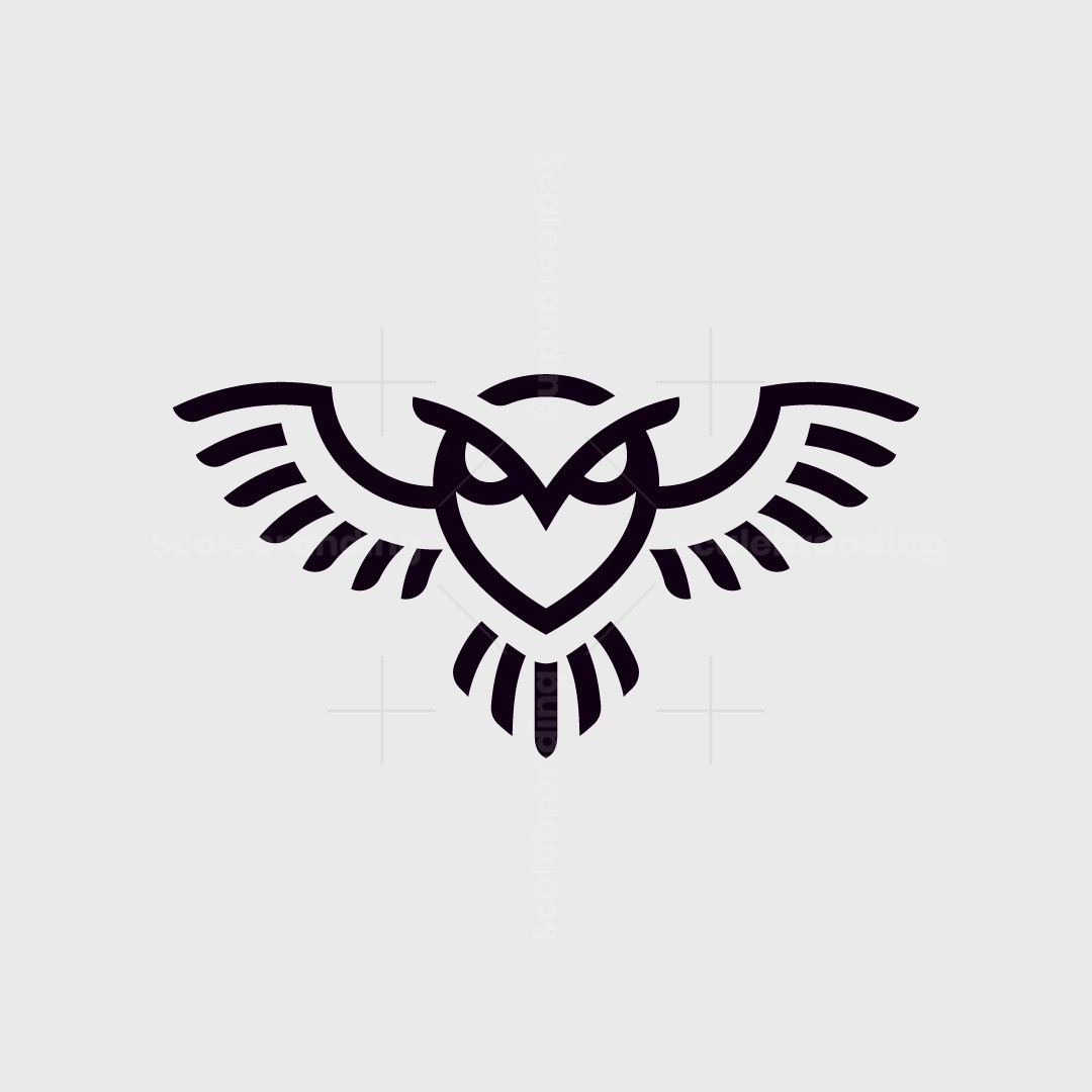 Flying Owl Logo | Scalebranding