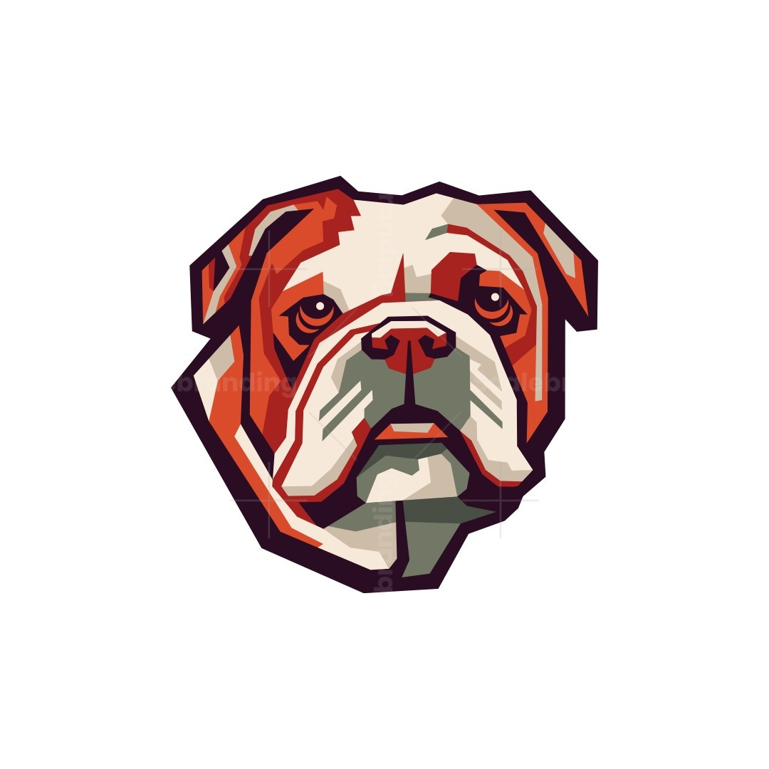 Engelsk Bulldog Logo English Bulldog Vector Stock Illustrations