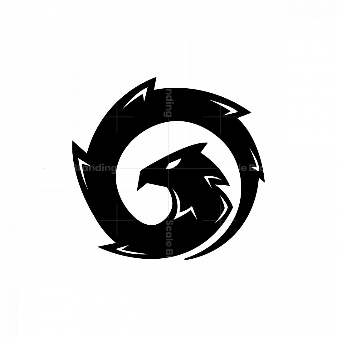 Hawk Circle Logo | Scalebranding