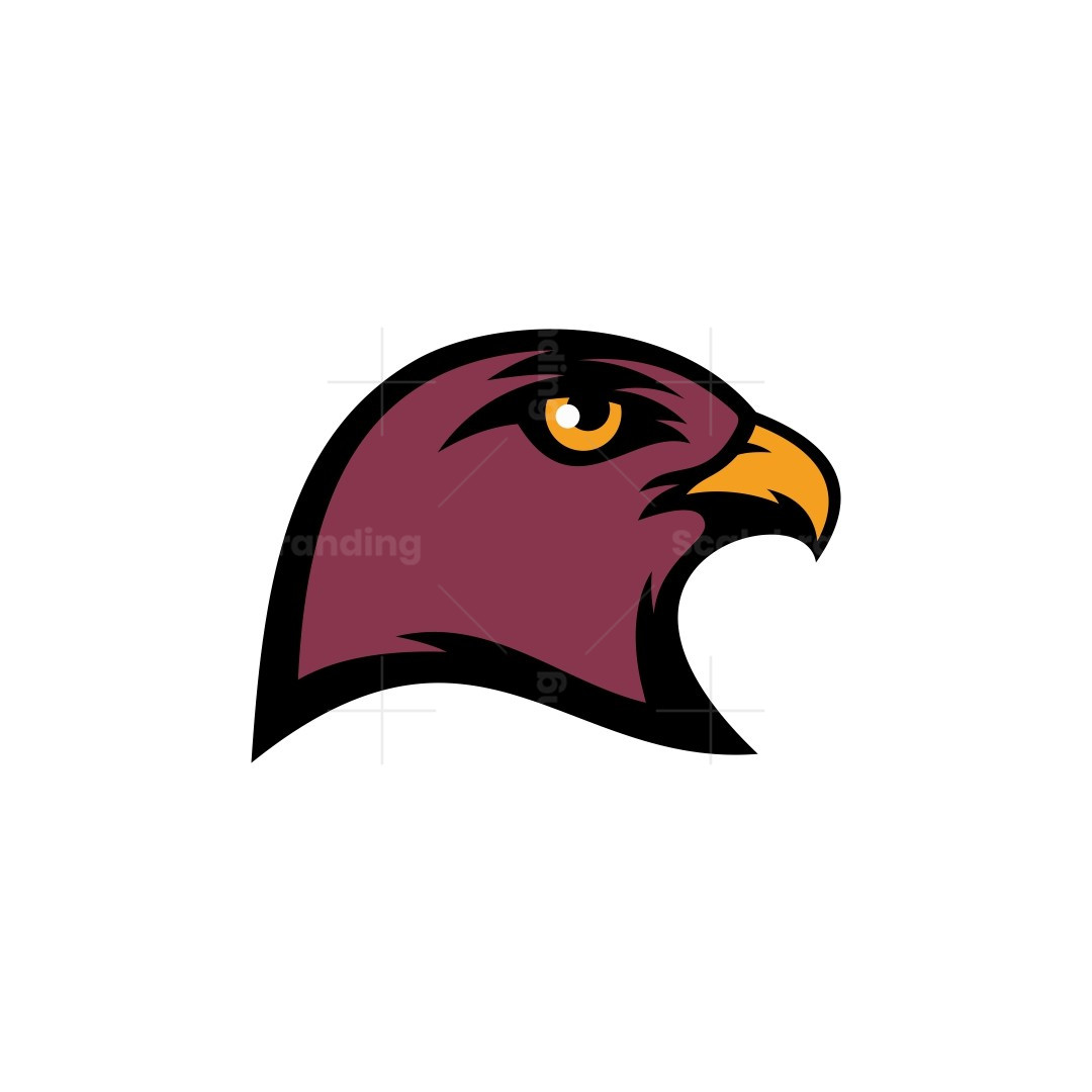 Hawk Logo | Scalebranding