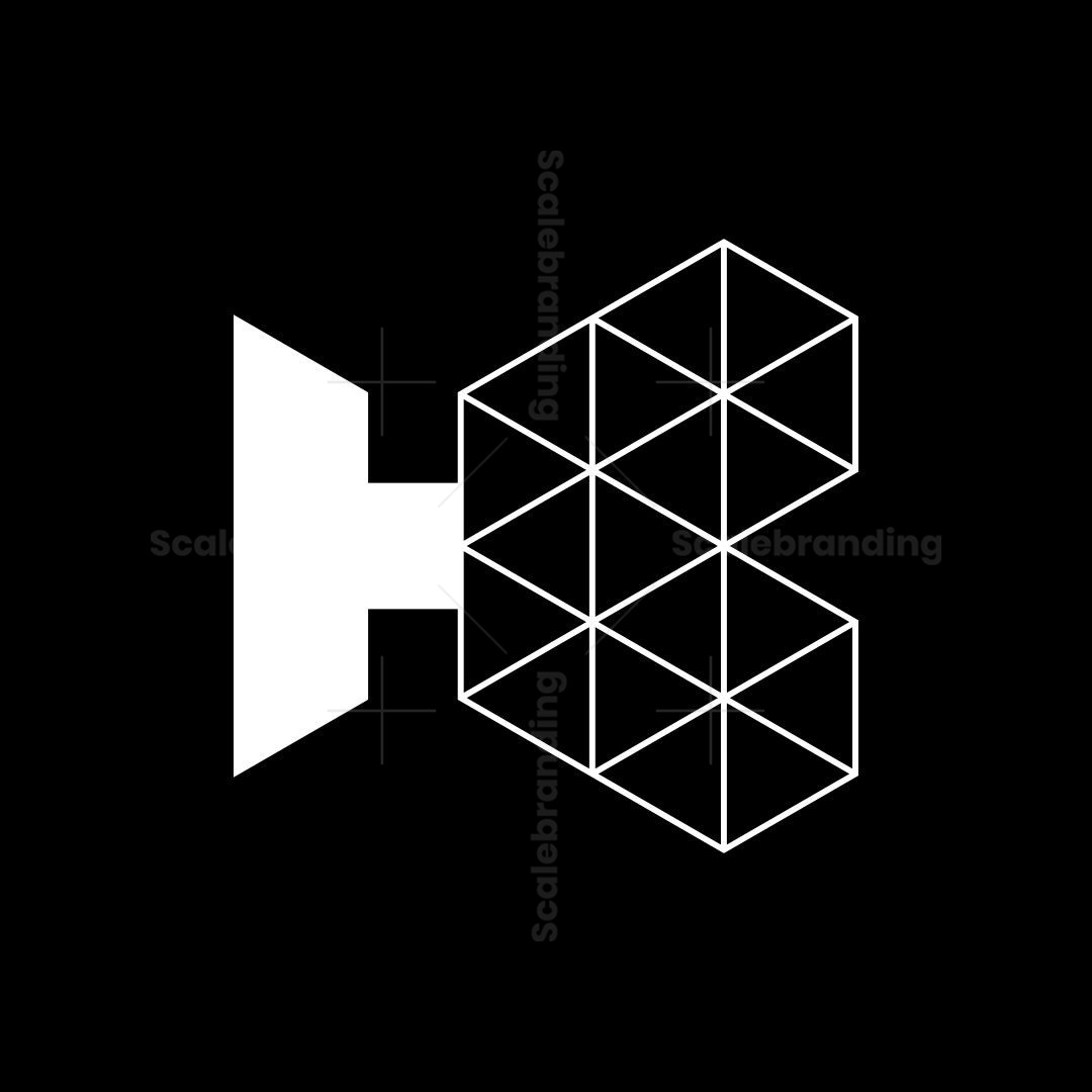 HB BH Polygon Logo | Scalebranding