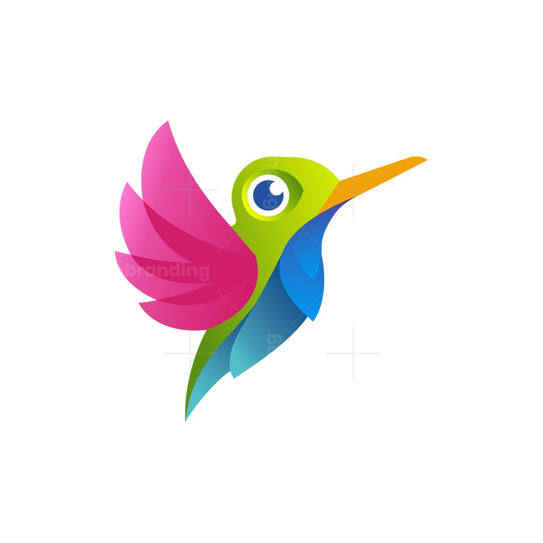 Cute and colorful humming bird logo | Scalebranding