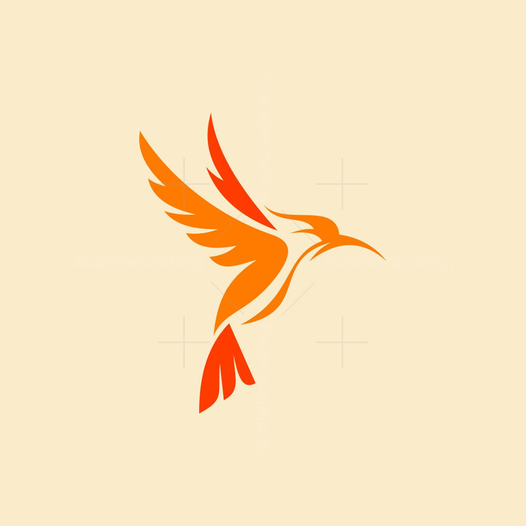 Hummingbird Logo | Scalebranding