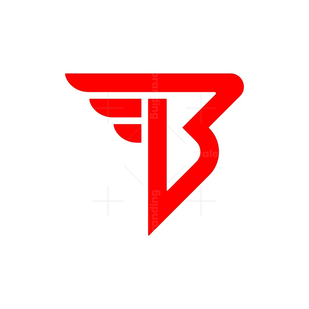 Letter B Flying Logo | Scalebranding