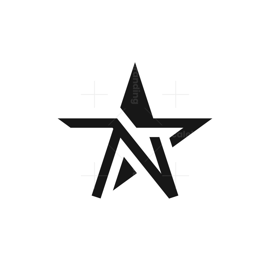Letter N Star Logo | Scalebranding