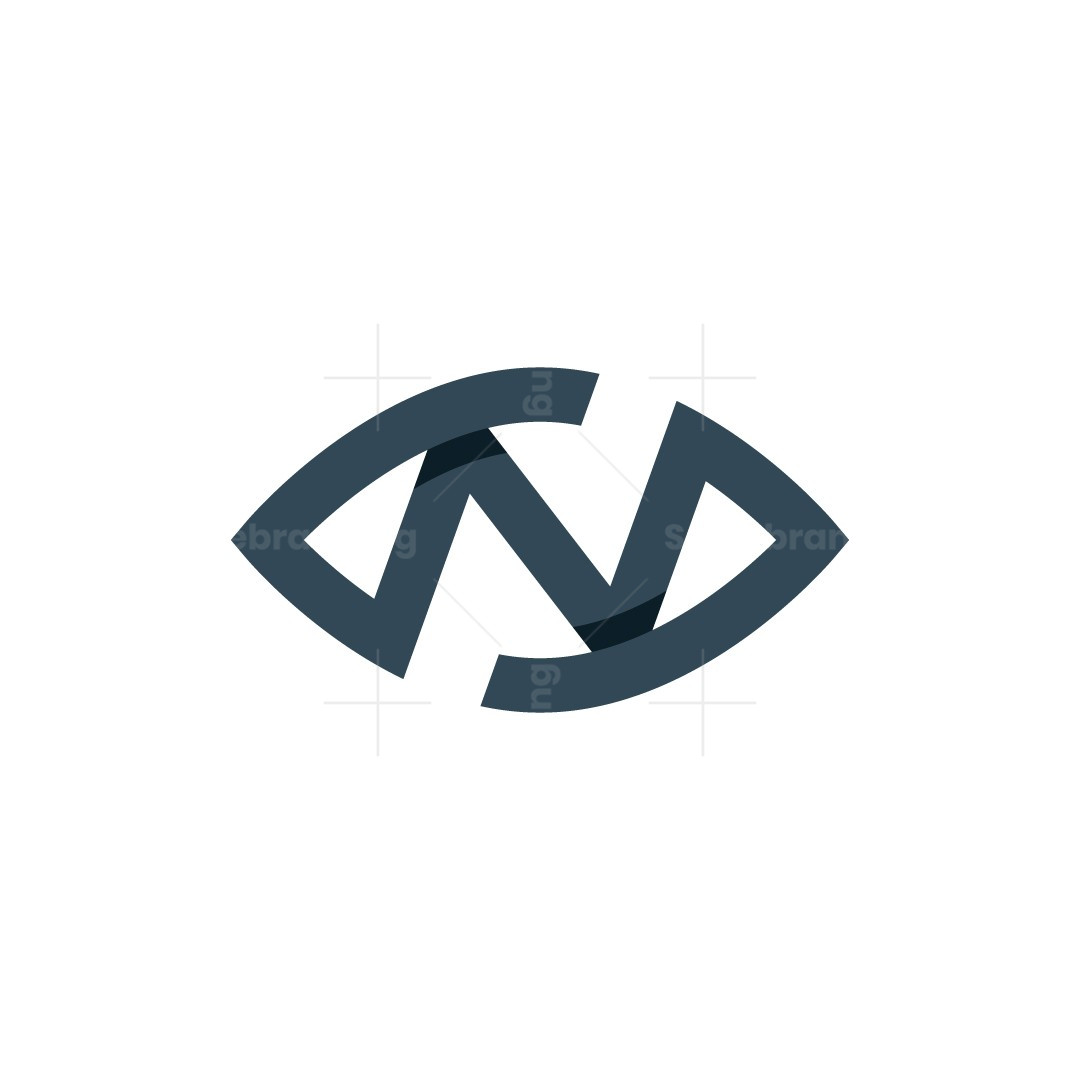 Letter N Vision Logo | Scalebranding