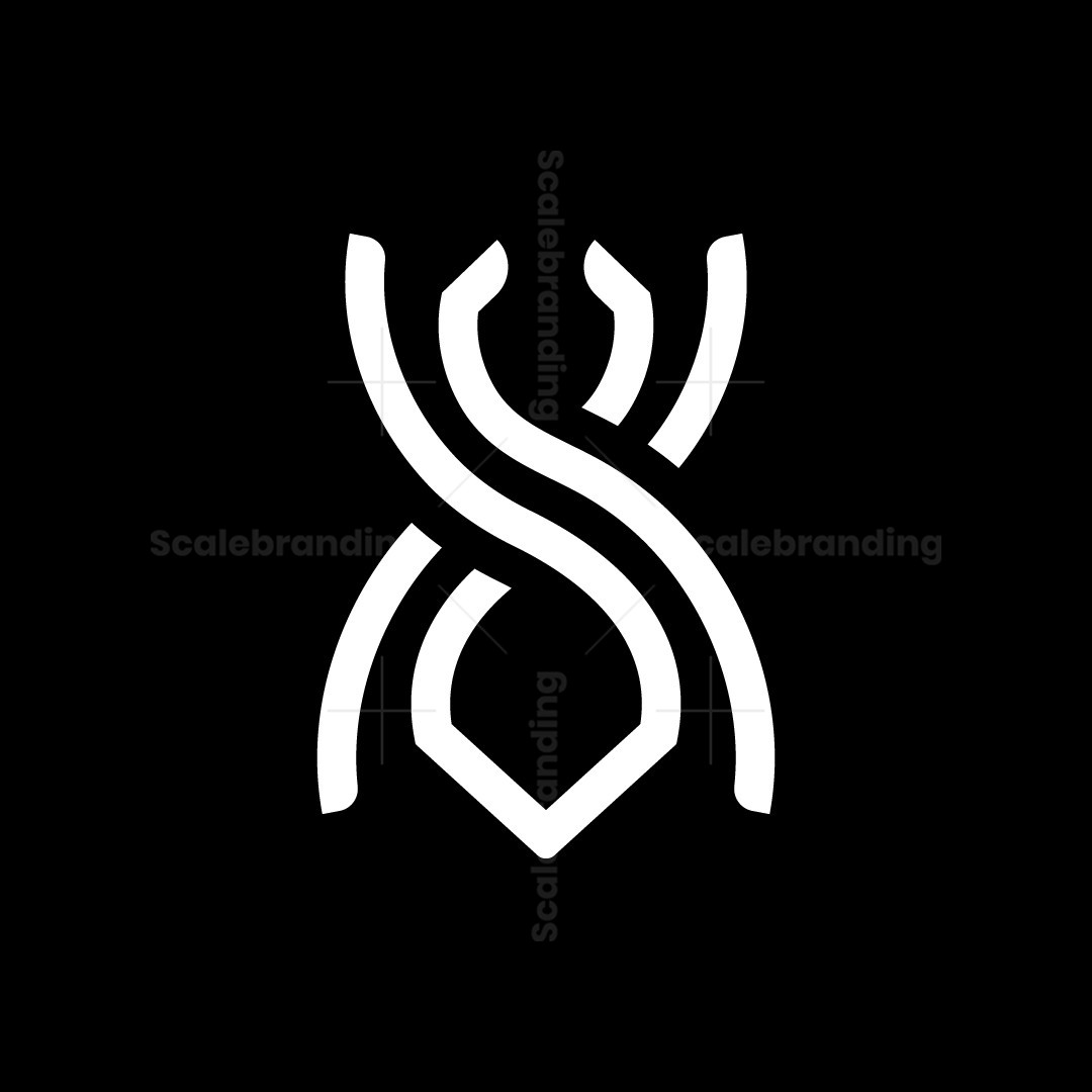 Letter S Spider Logo | Scalebranding
