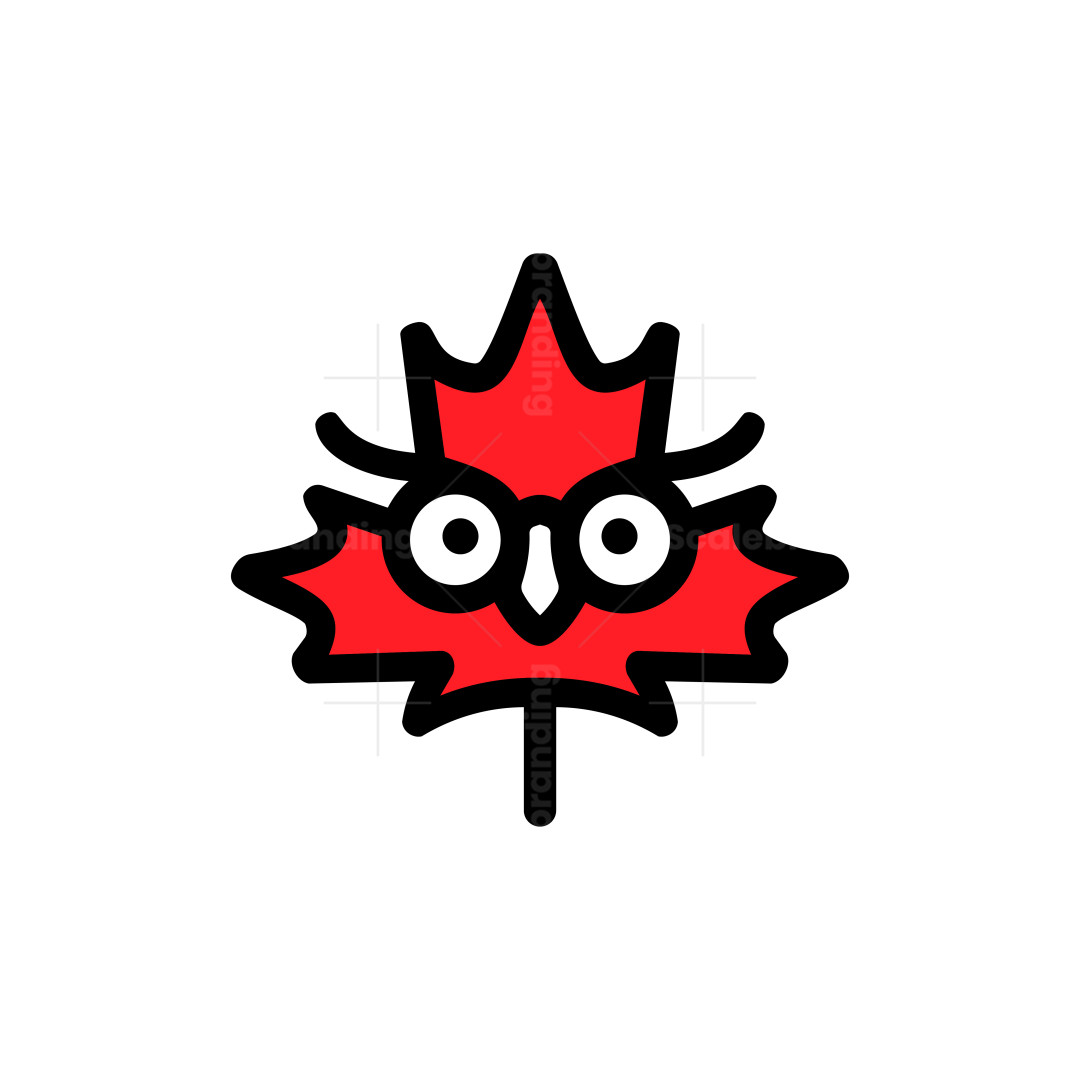 Maple Leaf Owl Logo | Scalebranding