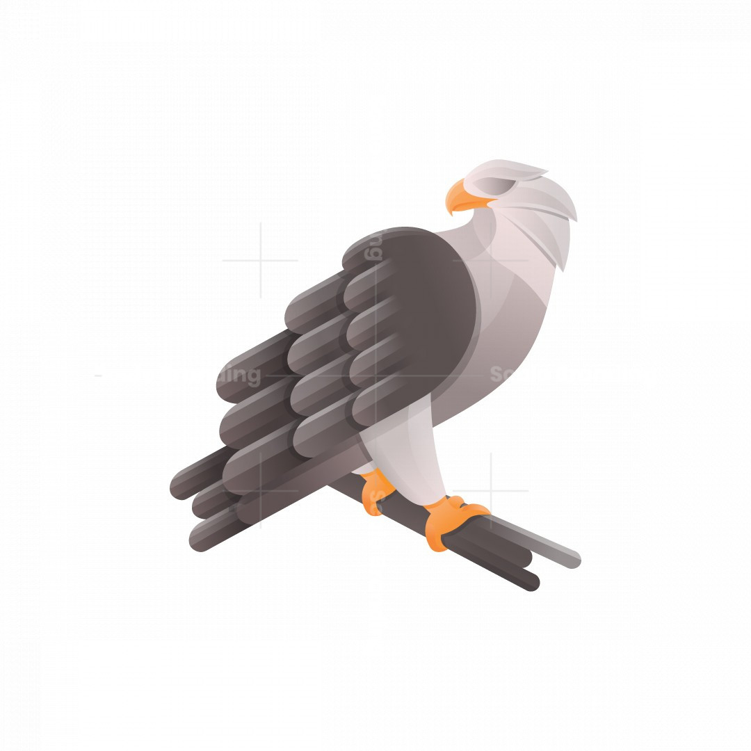 Modern Eagle Logo | Scalebranding