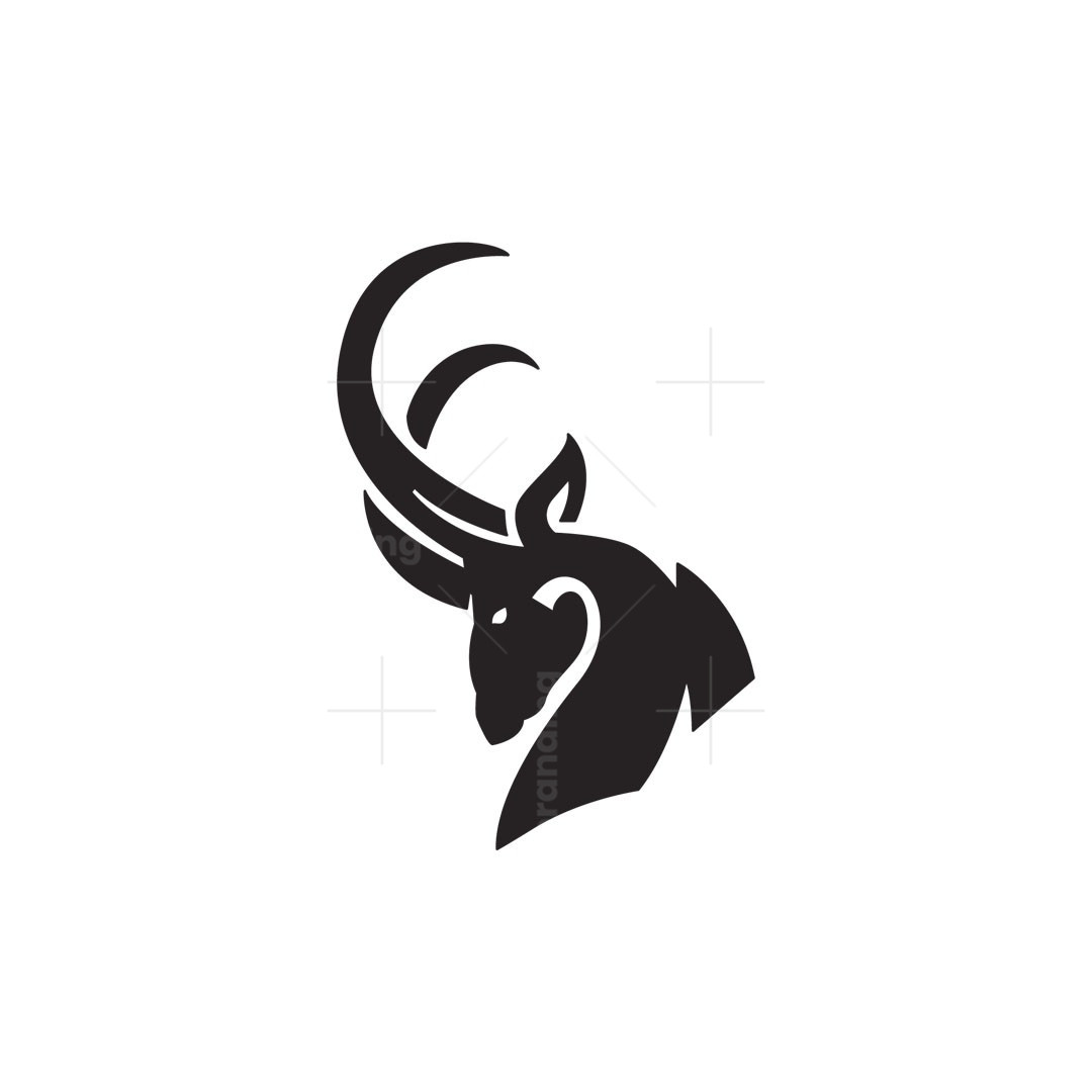 Ibex Vector