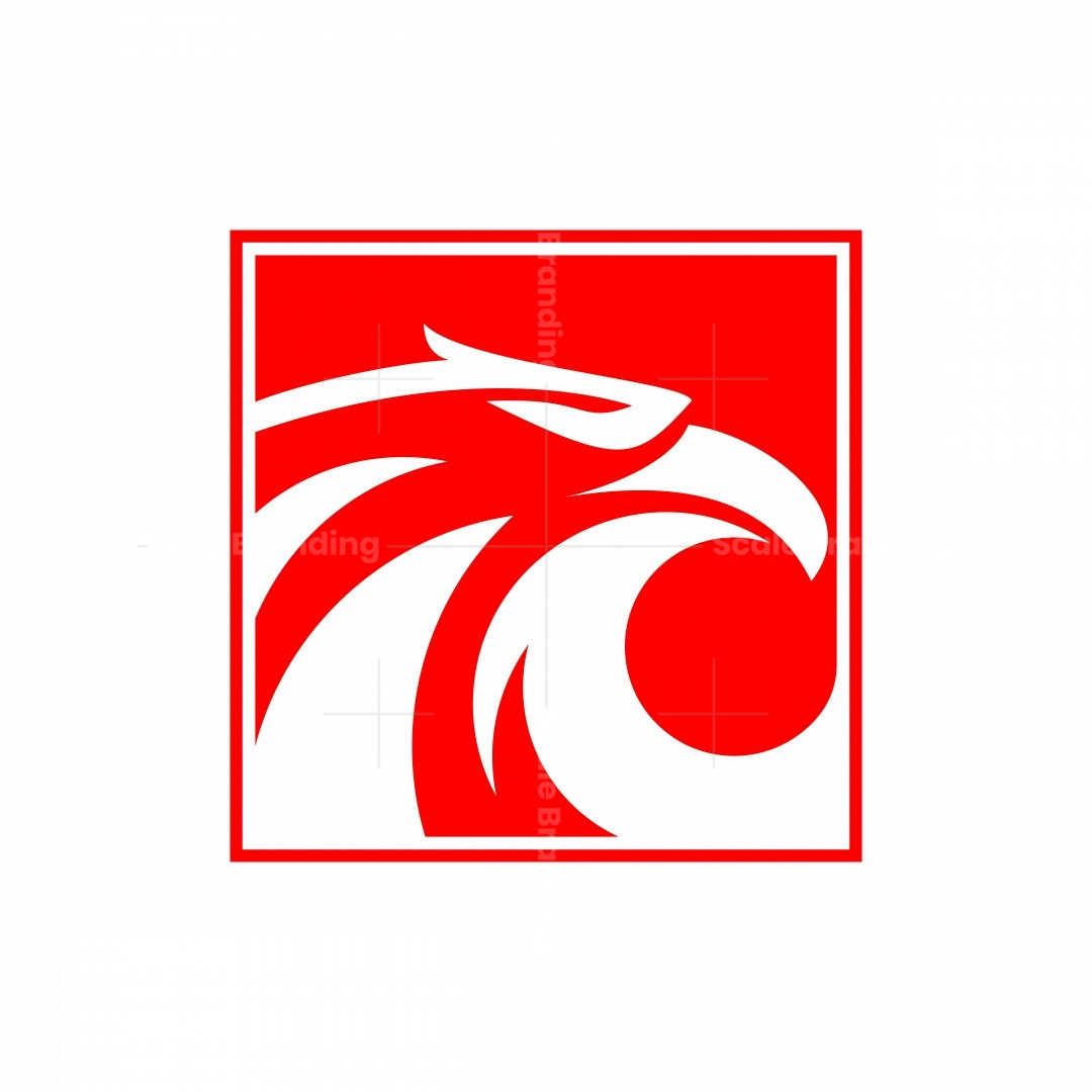 Modern Square Eagle Logo | Scalebranding