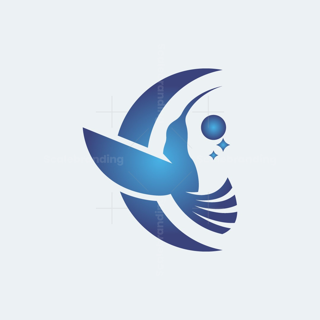 Night Hummingbird Logo | Scalebranding